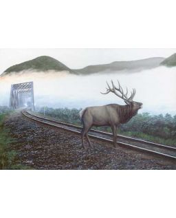 Buy Trains Online Anytime - TrainShack.com